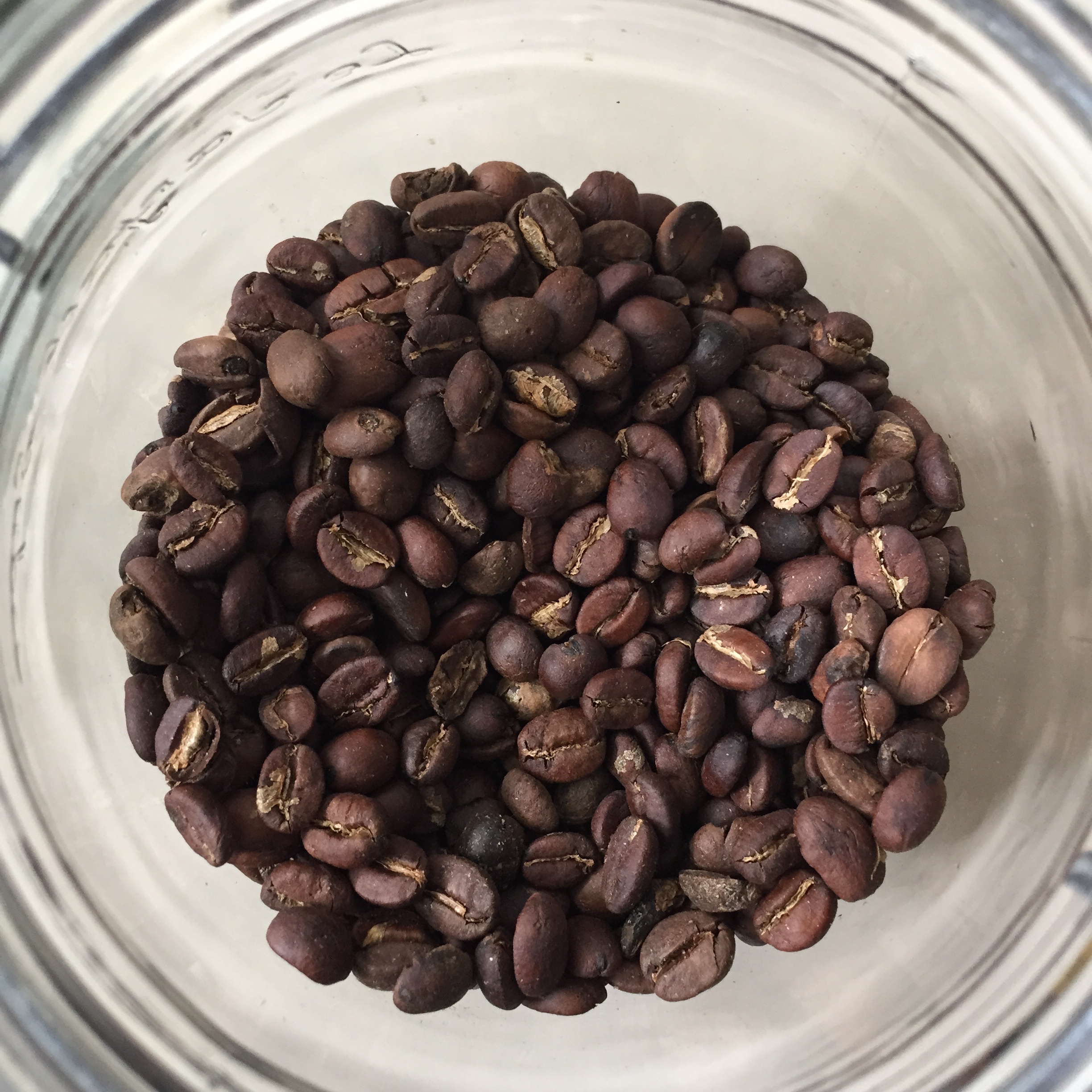 AIII #25: The Potential of Coffee in eastern Congo