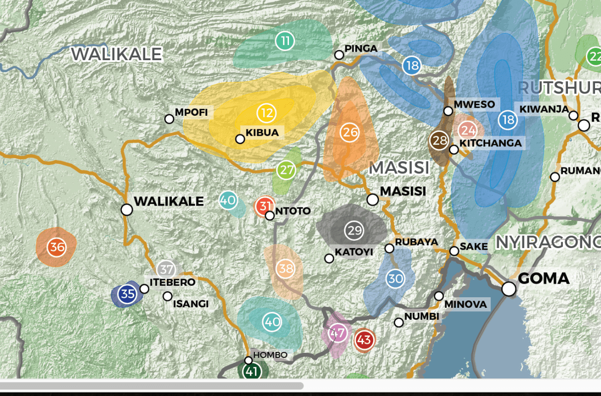 The Landscape of Armed Groups in the Eastern Congo